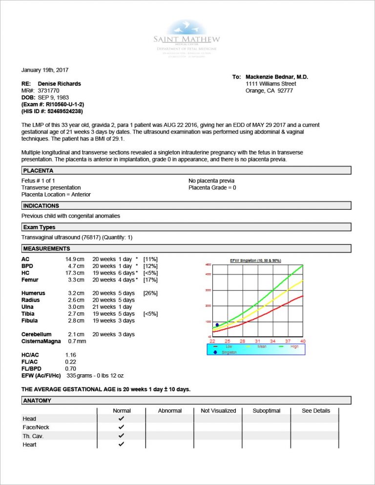 Reporting – Vision Chips, Inc